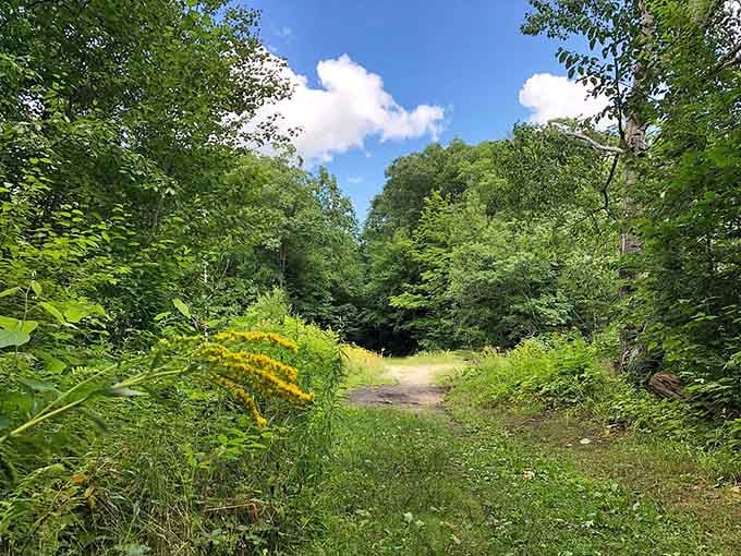 The trail ahead promises adventure without requiring a sherpa or protein bars every five minutes.