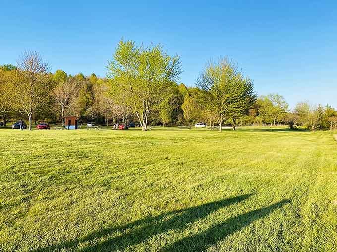 Endless green space means your frisbee can fly free without becoming someone's unwanted lunch companion or windshield decoration.