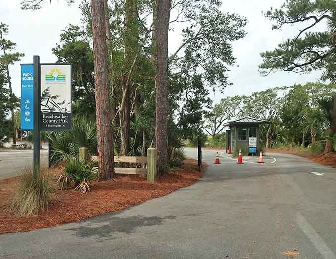 The entrance whispers rather than shouts, which is exactly how the best beach experiences should begin their story.