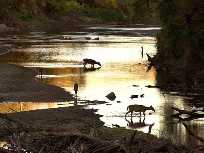 Golden hour at the river brings out the locals for their evening constitutional and refreshments.