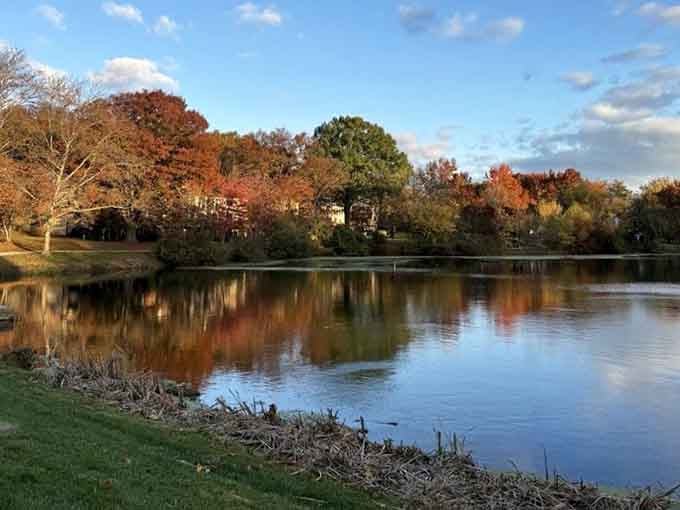 When the lake mirrors autumn's finest work, you realize nature's been showing off this whole time.