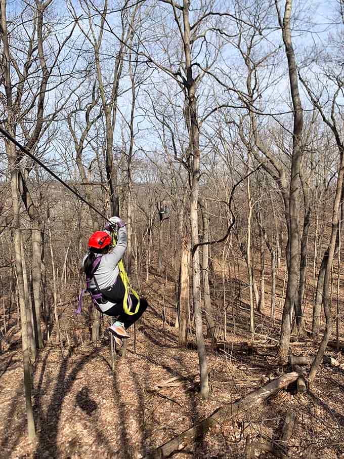 Soaring through bare branches on a zipline, proving winter adventures don't require snow or skis.