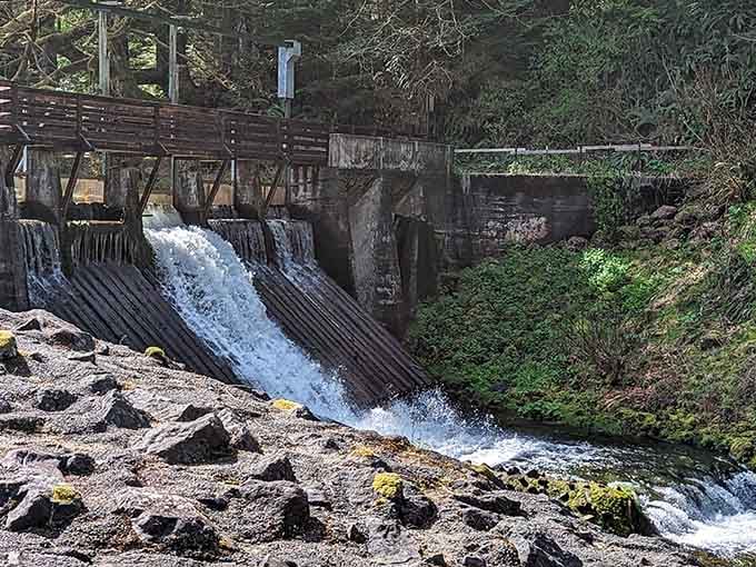 This weathered dam tells stories of logging days past while water rushes forward into the present.