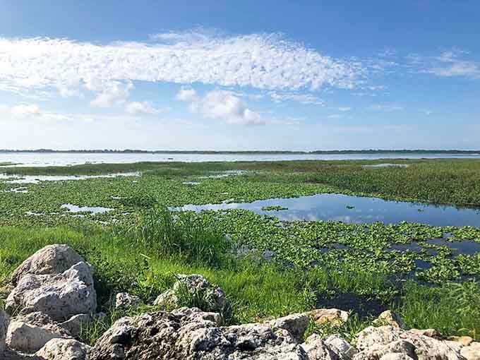 When the lake's vegetation looks this lush, you know the bass are hiding somewhere in there plotting their next meal.