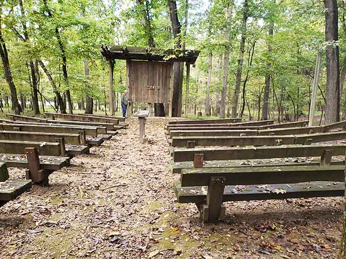 Nature's own theater where the only special effects needed are rustling leaves and birdsong overhead.