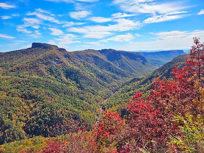 Fall in the gorge transforms the landscape into a painter's fever dream of reds, golds, and endless green valleys.