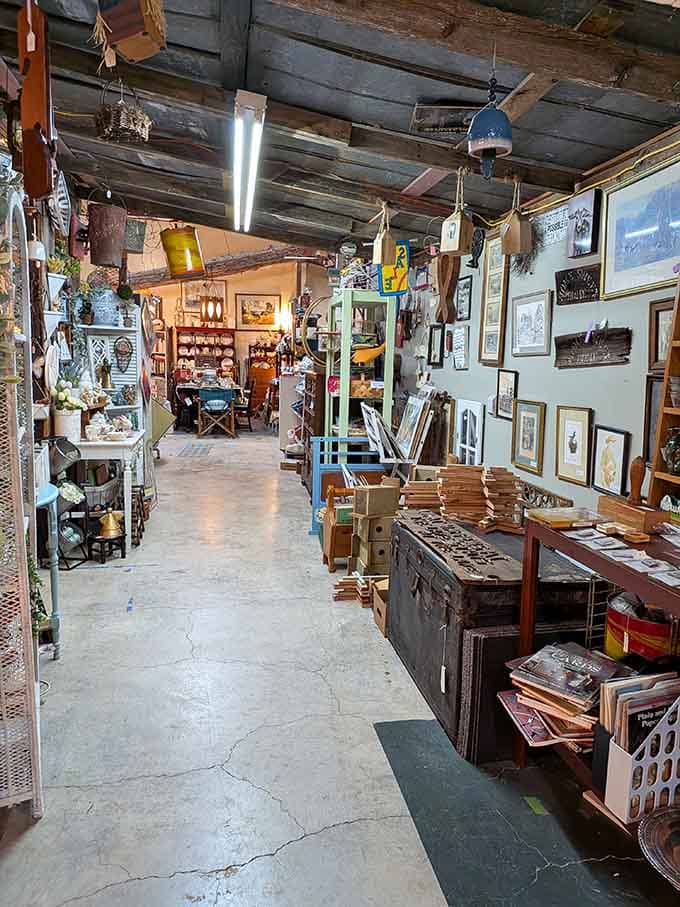 Rustic charm meets curated collections where every aisle promises something you didn't know you absolutely needed.