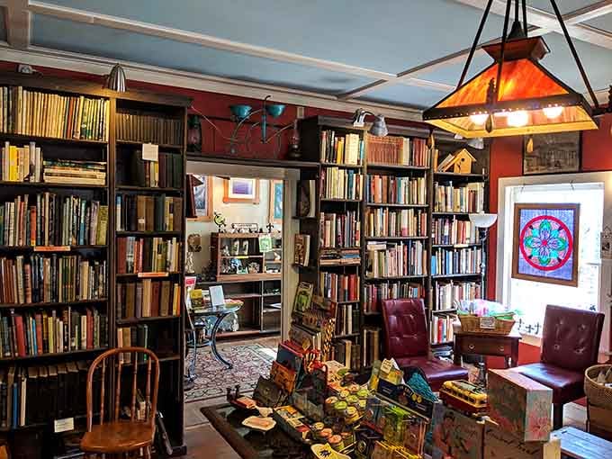 Floor-to-ceiling books create the kind of cozy chaos that makes librarians nervous and readers absolutely delighted.