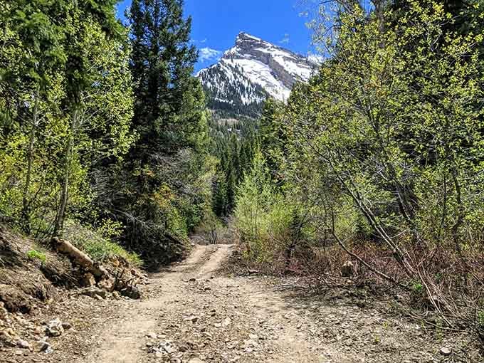 The road less traveled looks pretty darn inviting when there's a hidden lake at the end of it.
