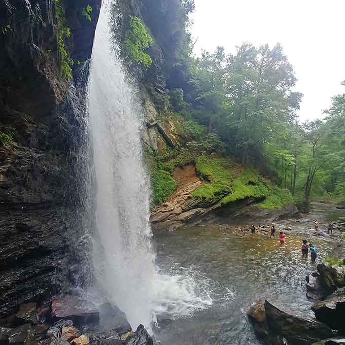 The swimming hole where mountain water meets brave souls willing to test their cold tolerance limits.