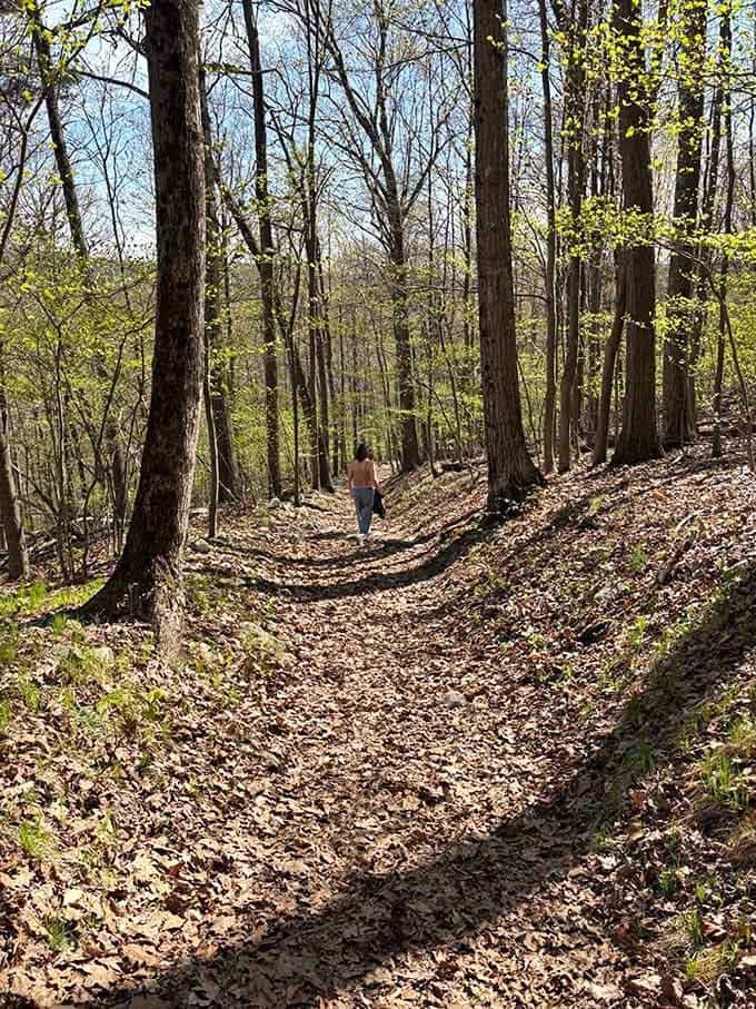 This leaf-carpeted path through the Hudson Valley forest is your gateway to geological wonders that'll redefine "impressive."