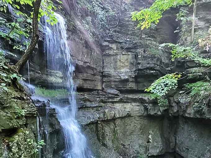 The sinkhole reveals its secrets through layers of rock that took millennia to perfect their dramatic presentation.