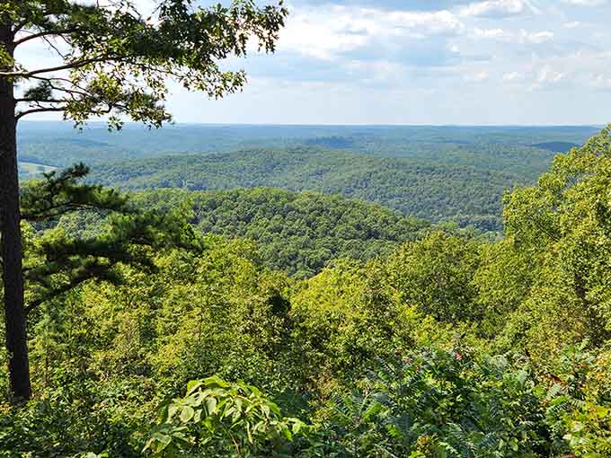 When the view looks this good, you'll forget you're still in Missouri and not Vermont.