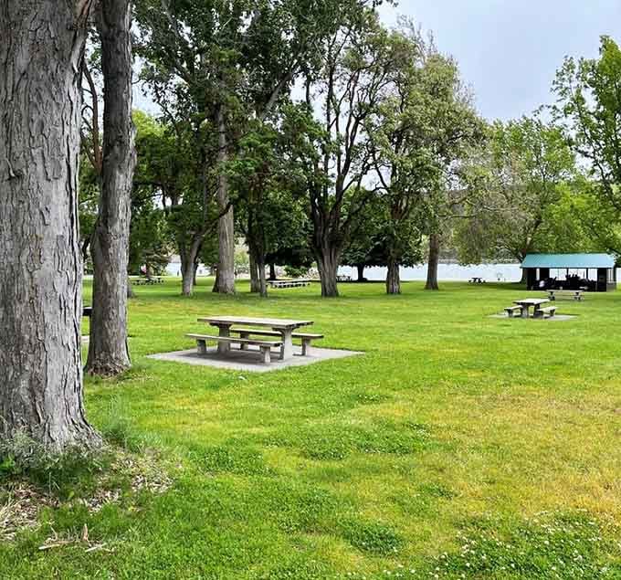 Shaded picnic spots where the hardest decision is choosing between napping or eating your sandwich first.