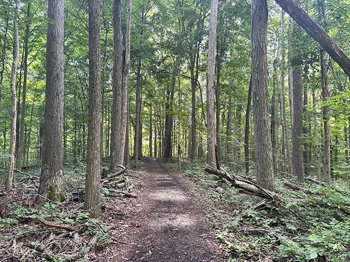 These trails have seen over a century of footsteps, and they're still rolling out the welcome mat.