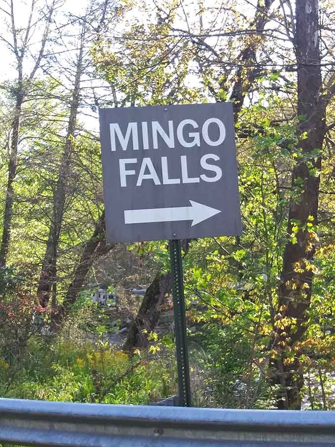 When a simple sign pointing through the woods promises a waterfall, you follow it without question or hesitation.