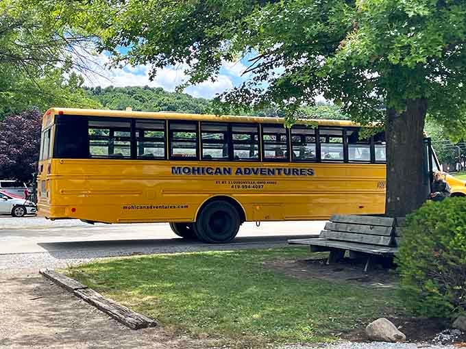 That cheerful yellow bus is your chariot to adventure, no first-class airline ticket required for this journey.