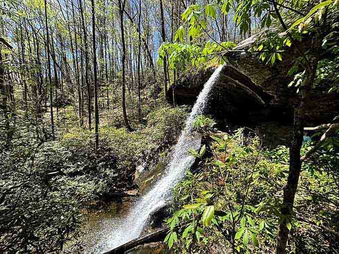 Moonshine Falls proves that good things come to those who hike, sweat, and cross multiple streams.