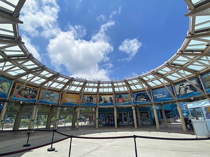 The circular pavilion design makes you feel like you're entering a spaceship, except this one's filled with aquatic wonders instead of aliens.