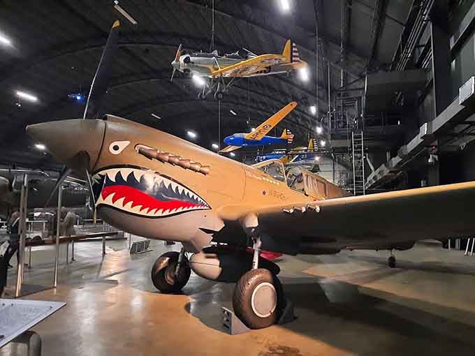 The famous shark teeth grin on this P-40 Warhawk still looks ready to bite after all these years.