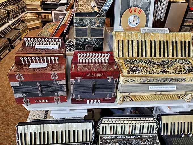 These vintage beauties showcase intricate craftsmanship from button accordions to ornate piano models spanning generations of musical history.
