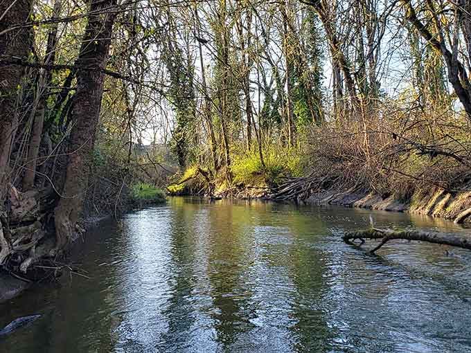 Rock Creek meanders through like it's got all the time in the world, which honestly sounds pretty appealing right now.