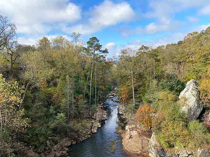 The gorge stretches out like nature's own cathedral, proving Alabama keeps its best secrets well hidden.