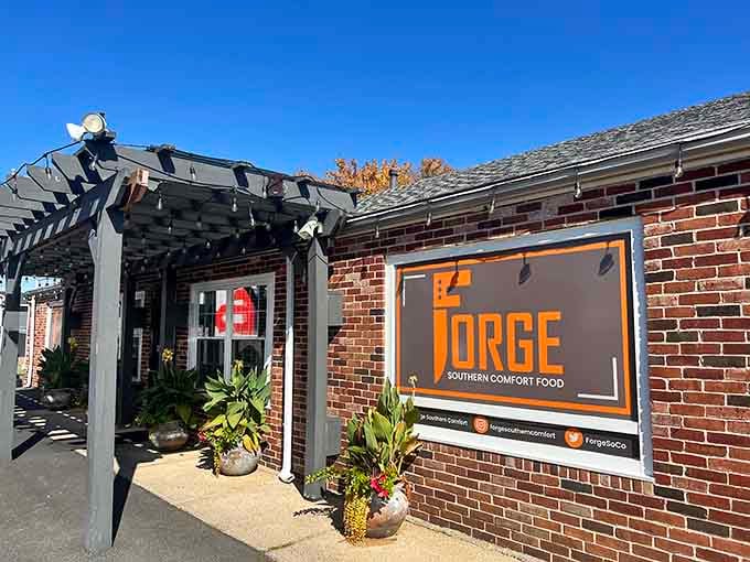 Forge Southern Comfort Food brings the warmth of the South to Maryland's waterfront, and your taste buds will thank you.