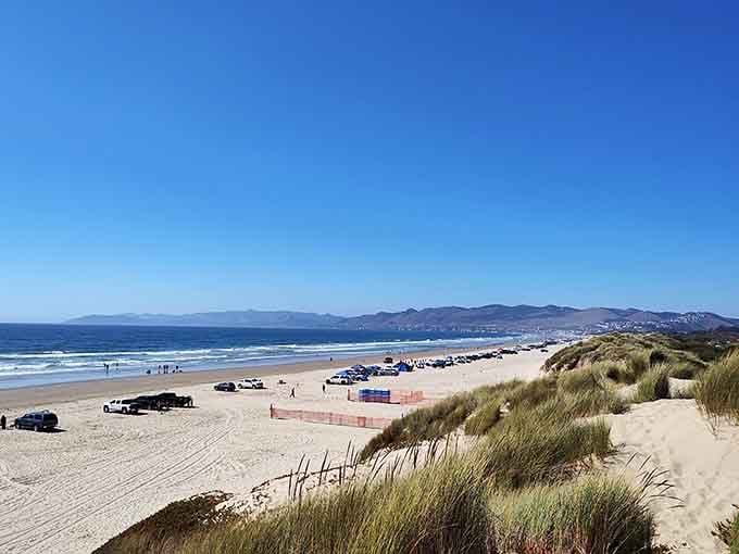 Miles of pristine coastline where tire tracks and footprints share the sand equally.