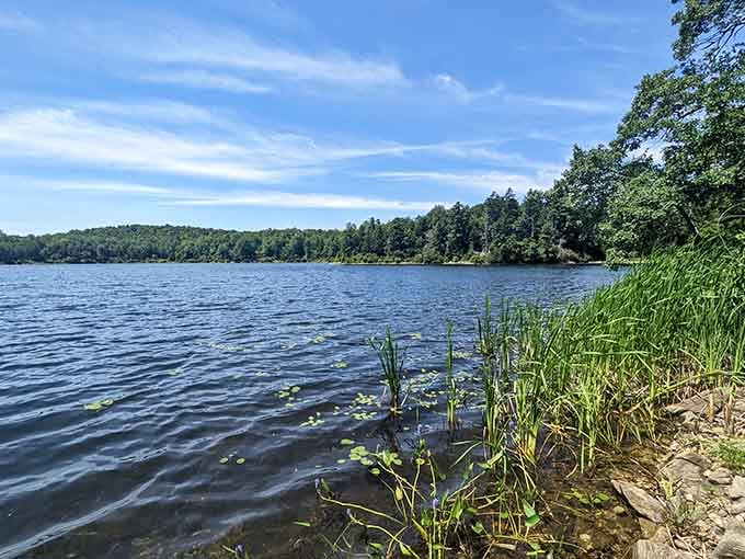 Felton Lake reflecting the sky like nature's mirror, proving Massachusetts does tranquility exceptionally well.