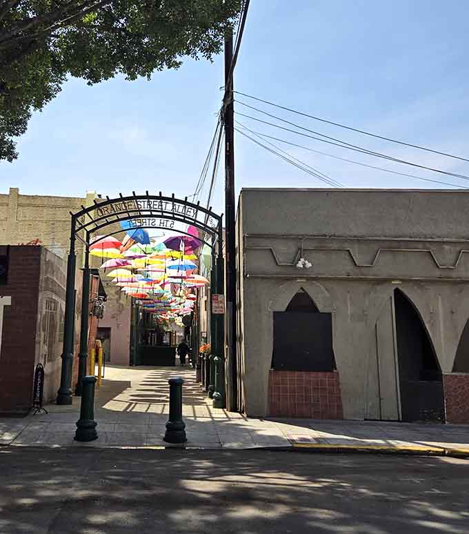 The entrance arch welcomes you like a portal to a world where umbrellas forgot they're supposed to fall.