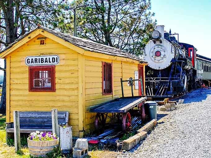 The cheerful yellow Garibaldi Station welcomes visitors with vintage charm that feels genuinely earned, not manufactured for tourists.