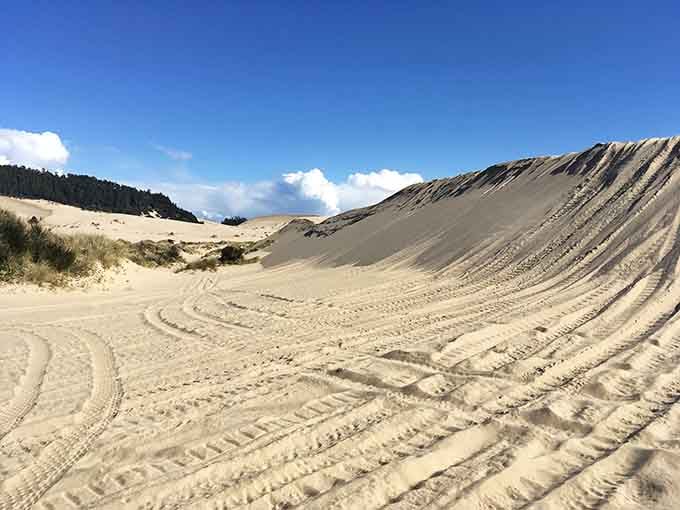 Those tire tracks tell stories of adventure, while the towering dune ahead whispers "I dare you to climb me."