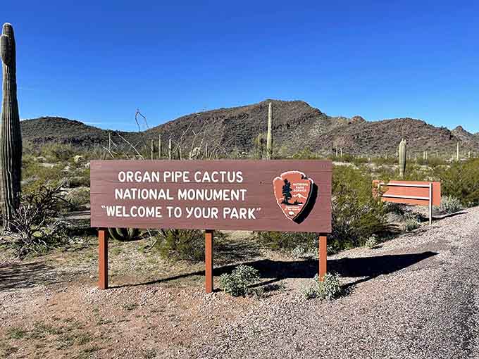 Your gateway to one of Arizona's best-kept secrets, where the crowds are thin and the cacti are plentiful.