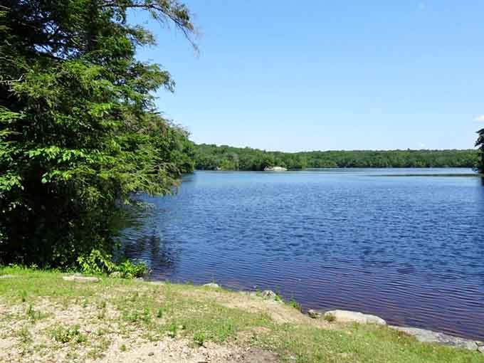 Beachdale Pond's grassy shore offers front-row seats to nature's daily show, no tickets required.