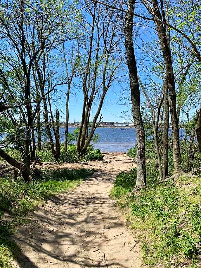 Follow the path through the trees and discover where civilization meets wilderness in perfect harmony.