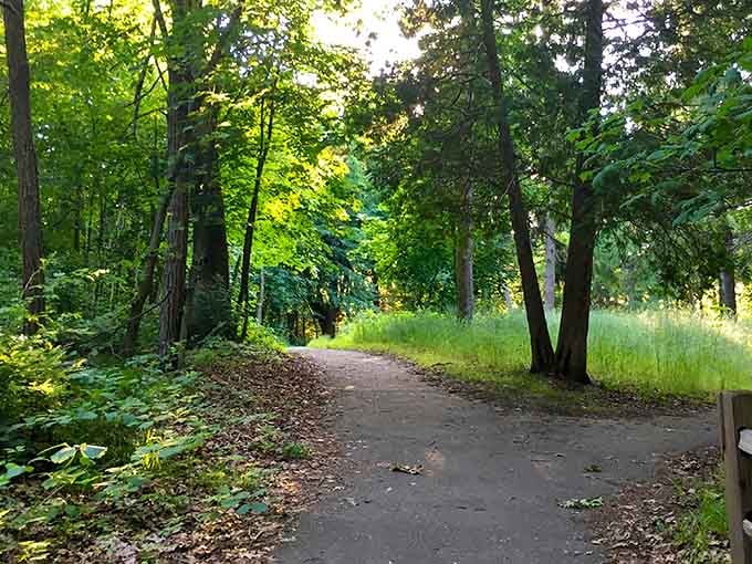 The path less traveled often leads to the most rewarding destinations, especially when it's this inviting.