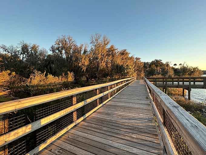 This boardwalk leads to nature's theater, where the show is free and the actors have hooves and feathers.