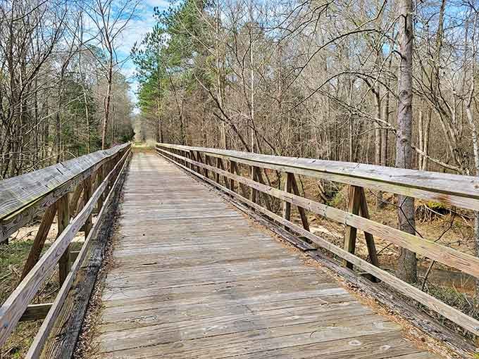 Winter's bare branches frame this wooden bridge, proving that beauty doesn't need leaves to make an impression.