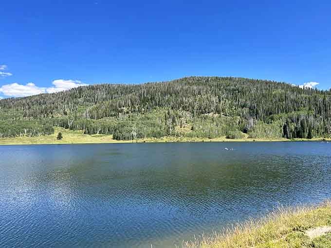 That moment when you realize the lake is so calm, it's basically nature's mirror having an existential crisis.
