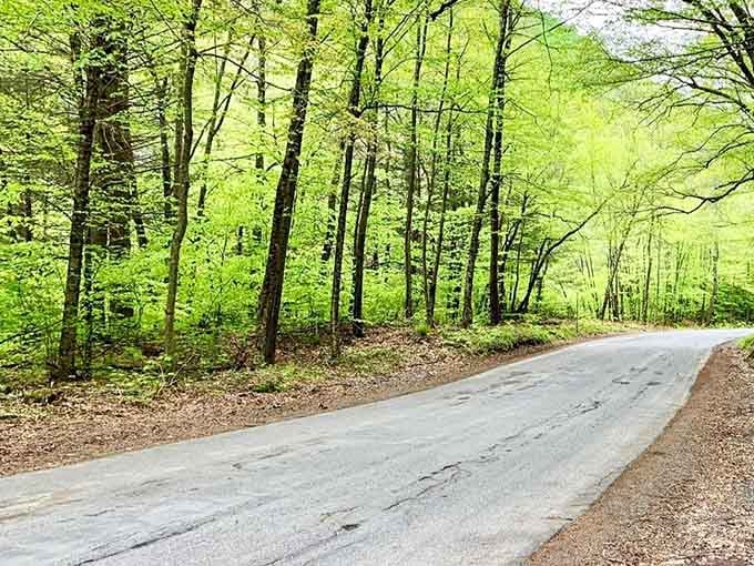 The scenic drive through the Catskills sets the stage for the aquatic adventure awaiting you ahead.