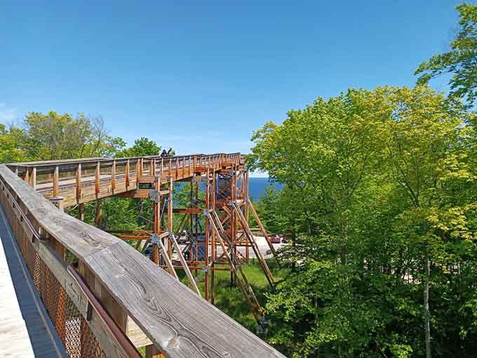 Eagle Tower's observation deck puts you at treetop level, where hawks and humans share the same spectacular vista.