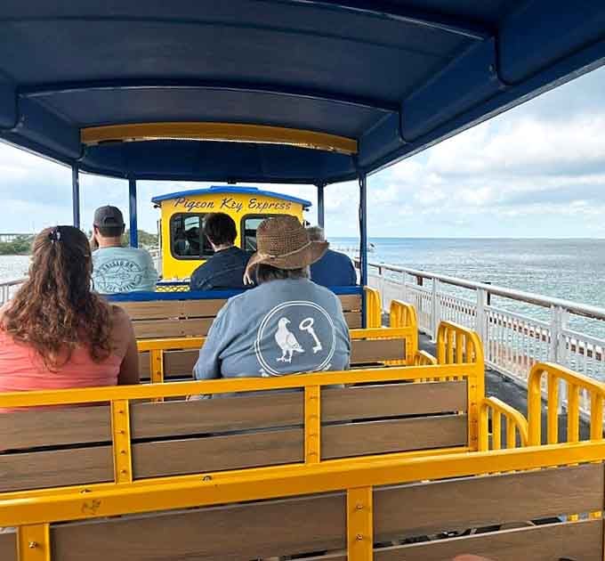 Open-air seating means the ocean breeze is part of the experience, and yes, your hair will have opinions.