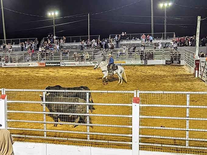 Saturday nights under the lights where cowboys prove New Jersey's got more range than anyone expected.