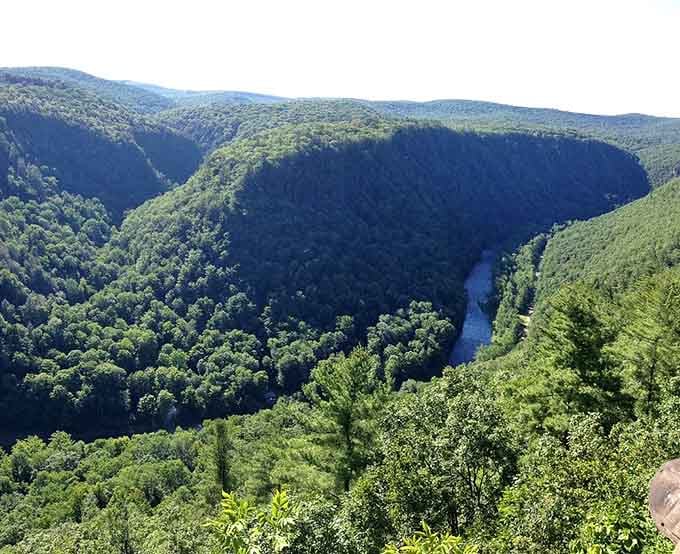 That ribbon of blue winding through the forest below? That's Pine Creek, quietly doing the geological heavy lifting.