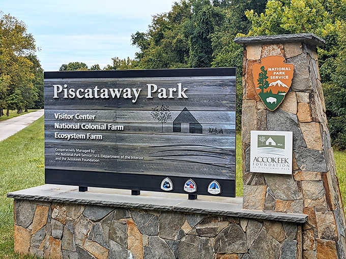 That National Park Service arrowhead means you're about to discover something special hiding in plain sight.