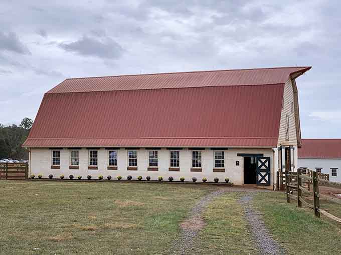 This gorgeous barn houses some of the sanctuary's most beloved residents, providing shelter and comfort year-round.