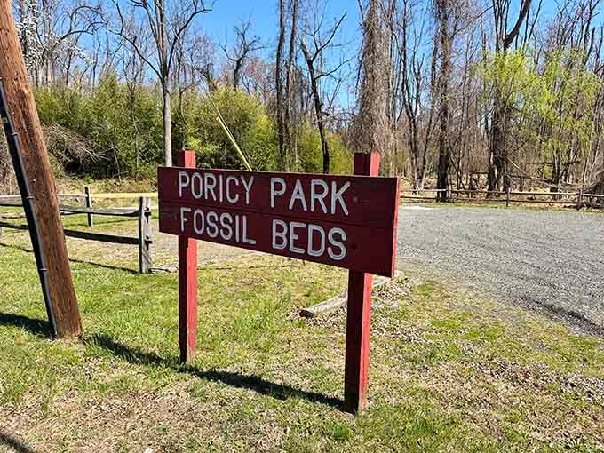 That simple sign marks the gateway to your own personal time machine adventure through prehistoric New Jersey.