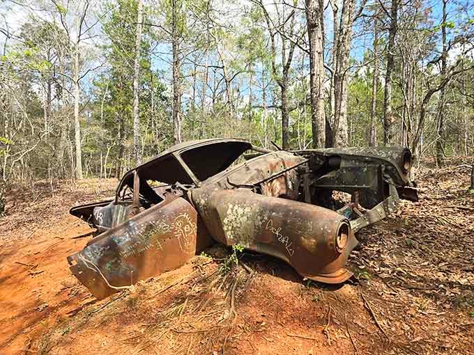 This rusted relic tells stories of when farming mistakes created accidental beauty, now slowly returning to earth.