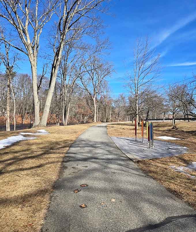 A paved trail winding through bare trees proves winter walks can be just as rewarding as autumn strolls.